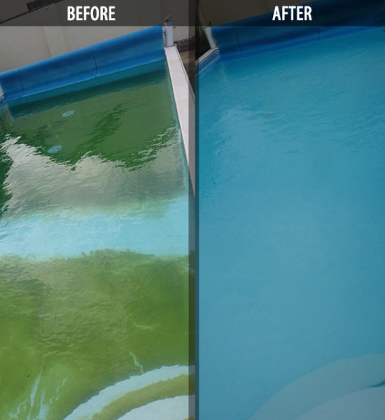 before-and-after-swimming-pool-maintenance - Rio Pools